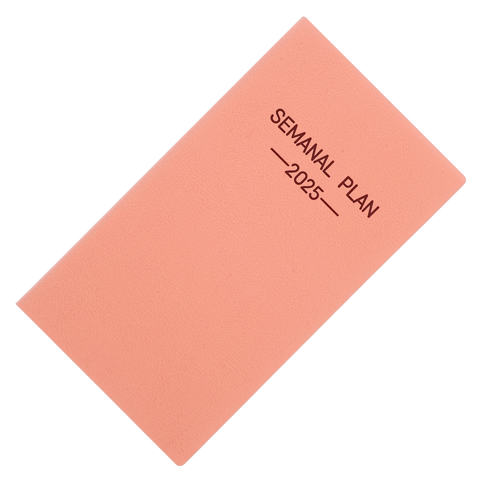 Schedule Book 2025 Planner Notebook Calendar Notebooks for Work Advent ...