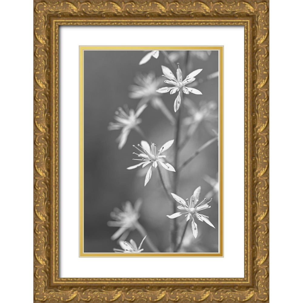 Schell, Jennie Marie 11x14 Gold Ornate Wood Framed with Double Matting ...