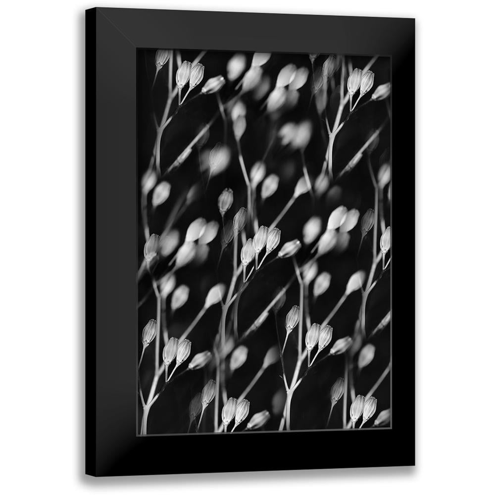 Schell, Jennie Marie 13x18 Black Modern Framed Museum Art Print Titled ...