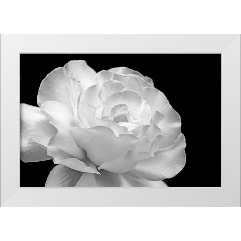 Schell, Jennie Marie 32x23 White Modern Wood Framed Museum Art Print ...