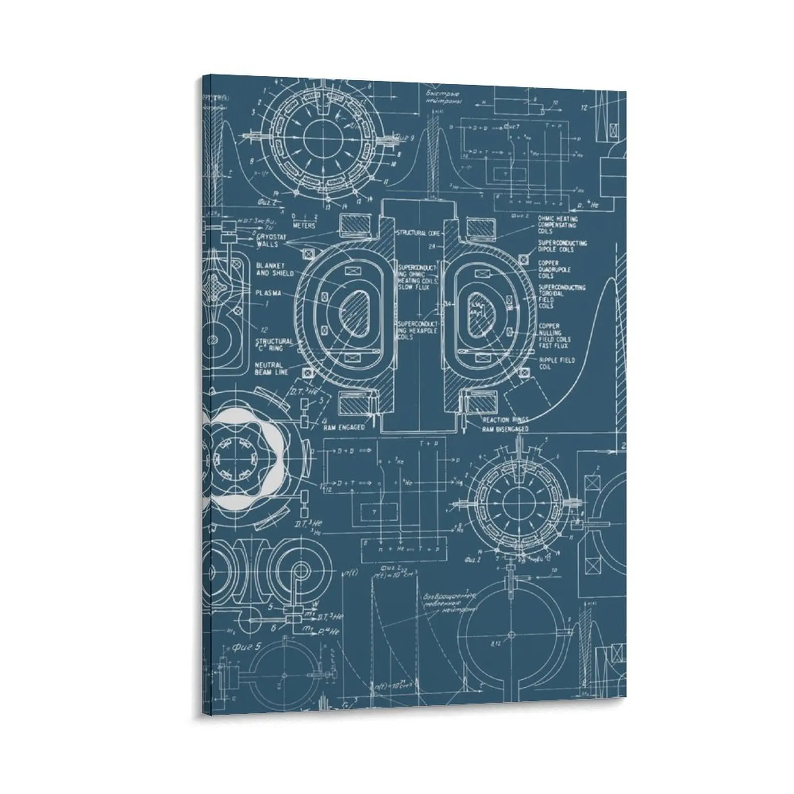 Schematic image of TOKAMAK a fusion reactor. Print with drawings and ...