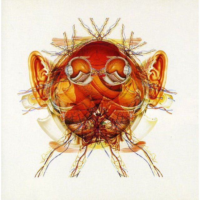 Schematic - Walmart.com