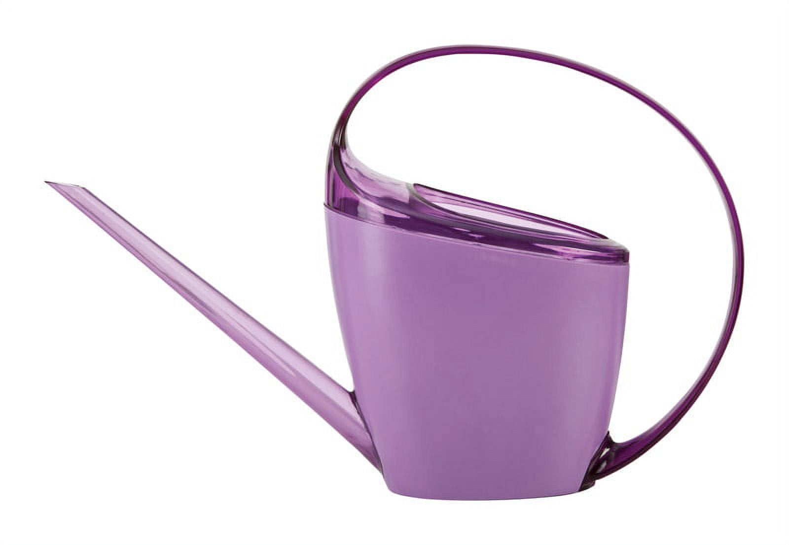 Watering Can, Loop Handle, Violet Plastic, 47 oz., Scheurich, 56638 ...