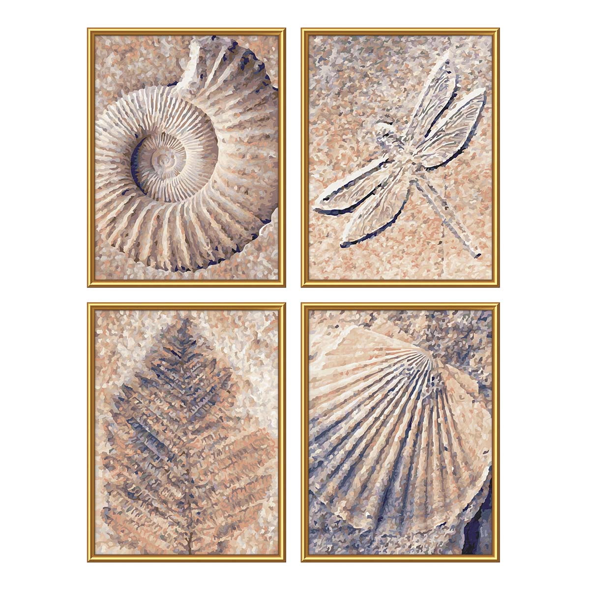 Schipper Fossils Kit & Frame Paint by Number Kit - Walmart.com