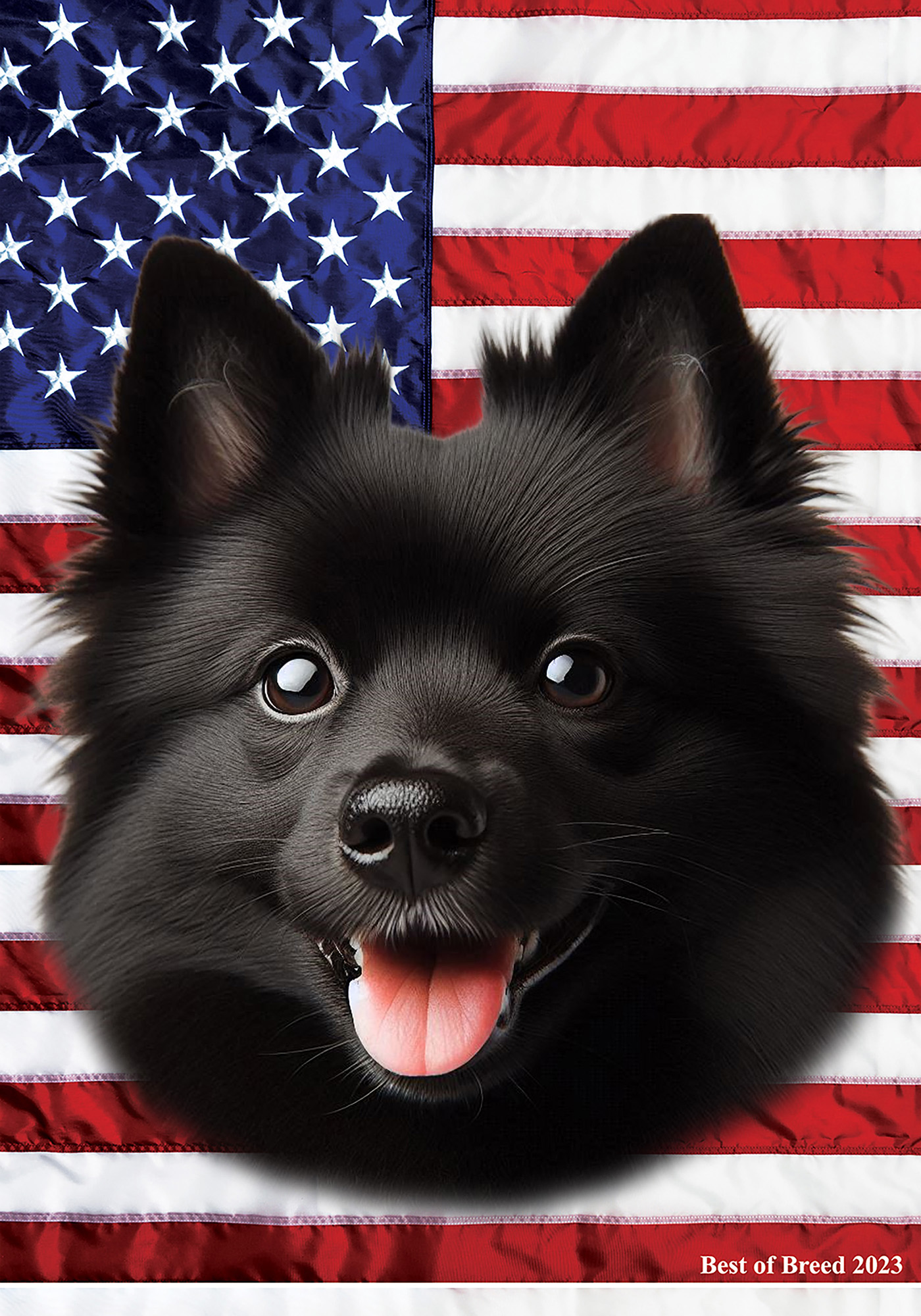 Schipperke - Best of Breed All-American Patriotic III Garden Flags ...