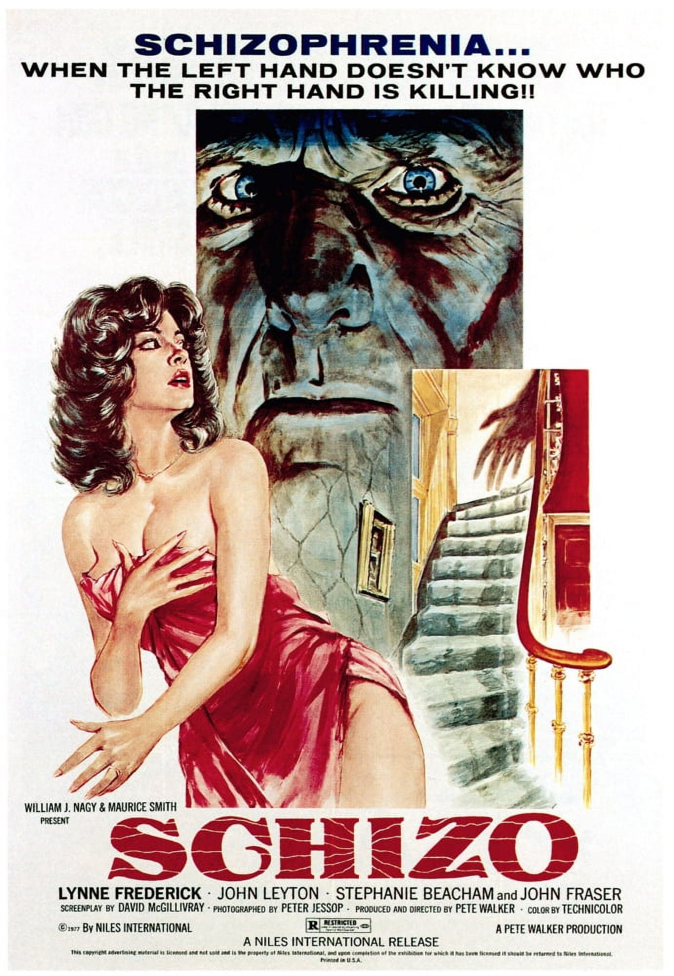 Schizo Poster 1976 Movie Poster Masterprint (24 x 36) - Walmart.com