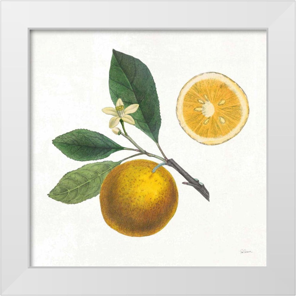 Schlabach, Sue 12x12 White Modern Wood Framed Museum Art Print Titled ...