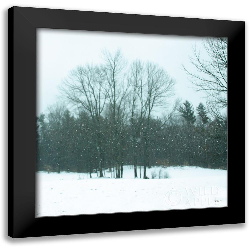 Schlabach, Sue 15x15 Black Modern Framed Museum Art Print Titled ...