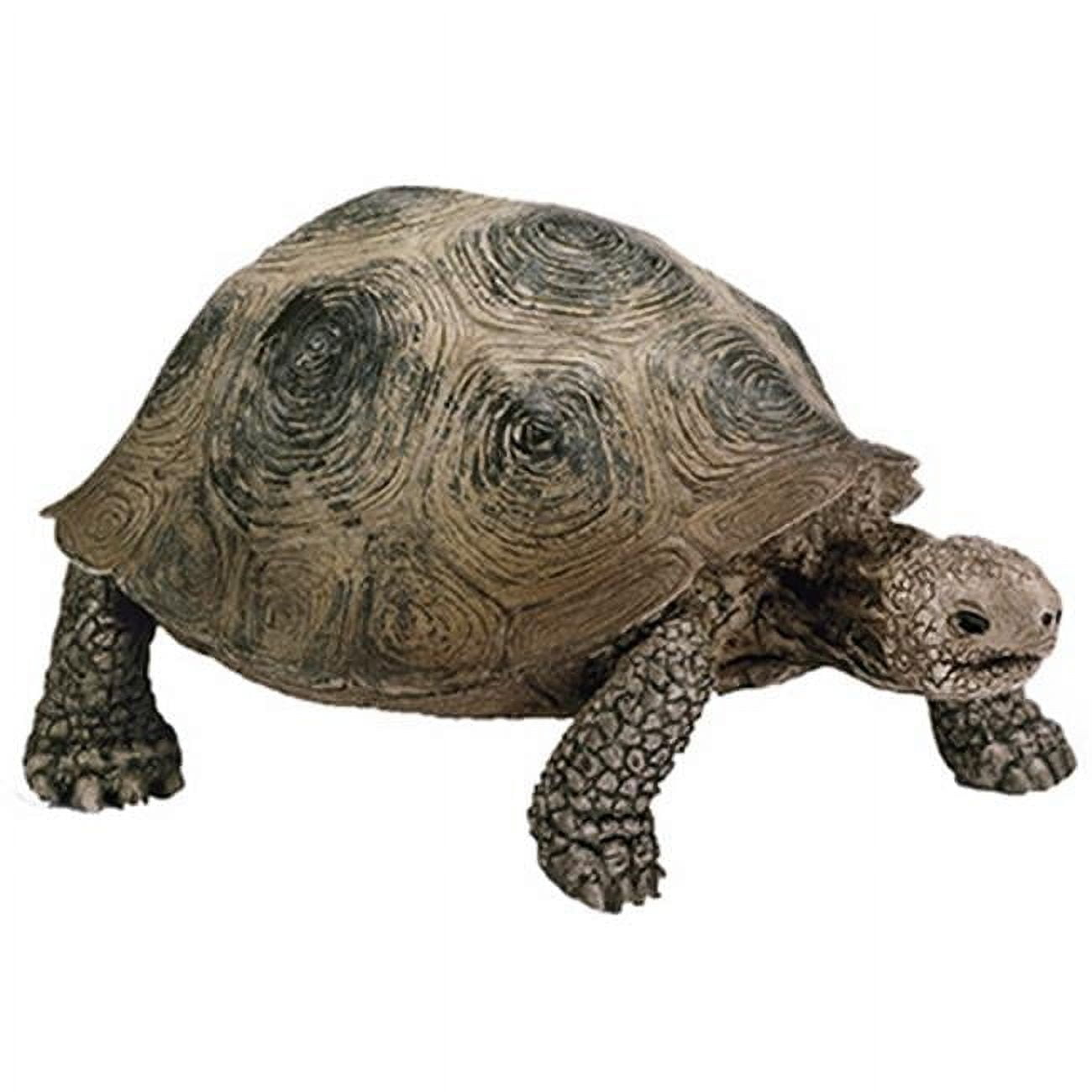 Schleich North America Giant Turtle -Green - Walmart.com