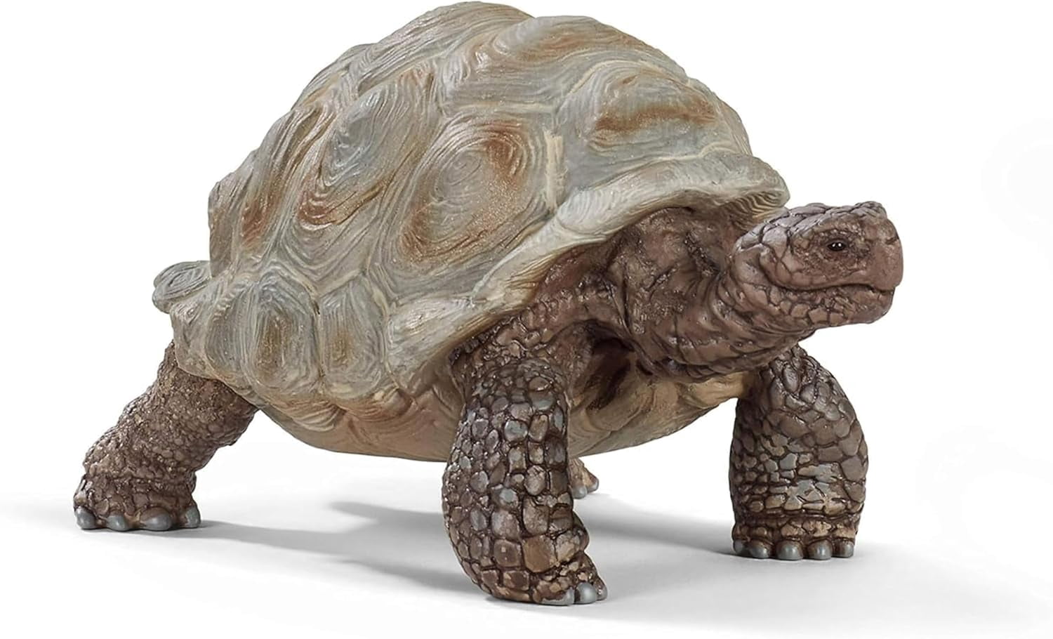 Schleich Wild Life - 3" Galapagos Giant Tortoise Figure - Realistic ...