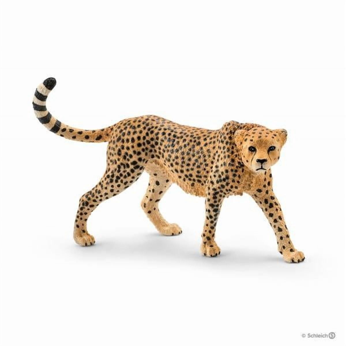 Schleich : Cheetah female 14746 - Walmart.com