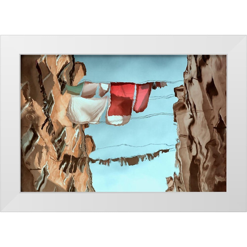 Schleicher-Schwarz, Roswitha 24x17 White Modern Wood Framed Museum Art ...