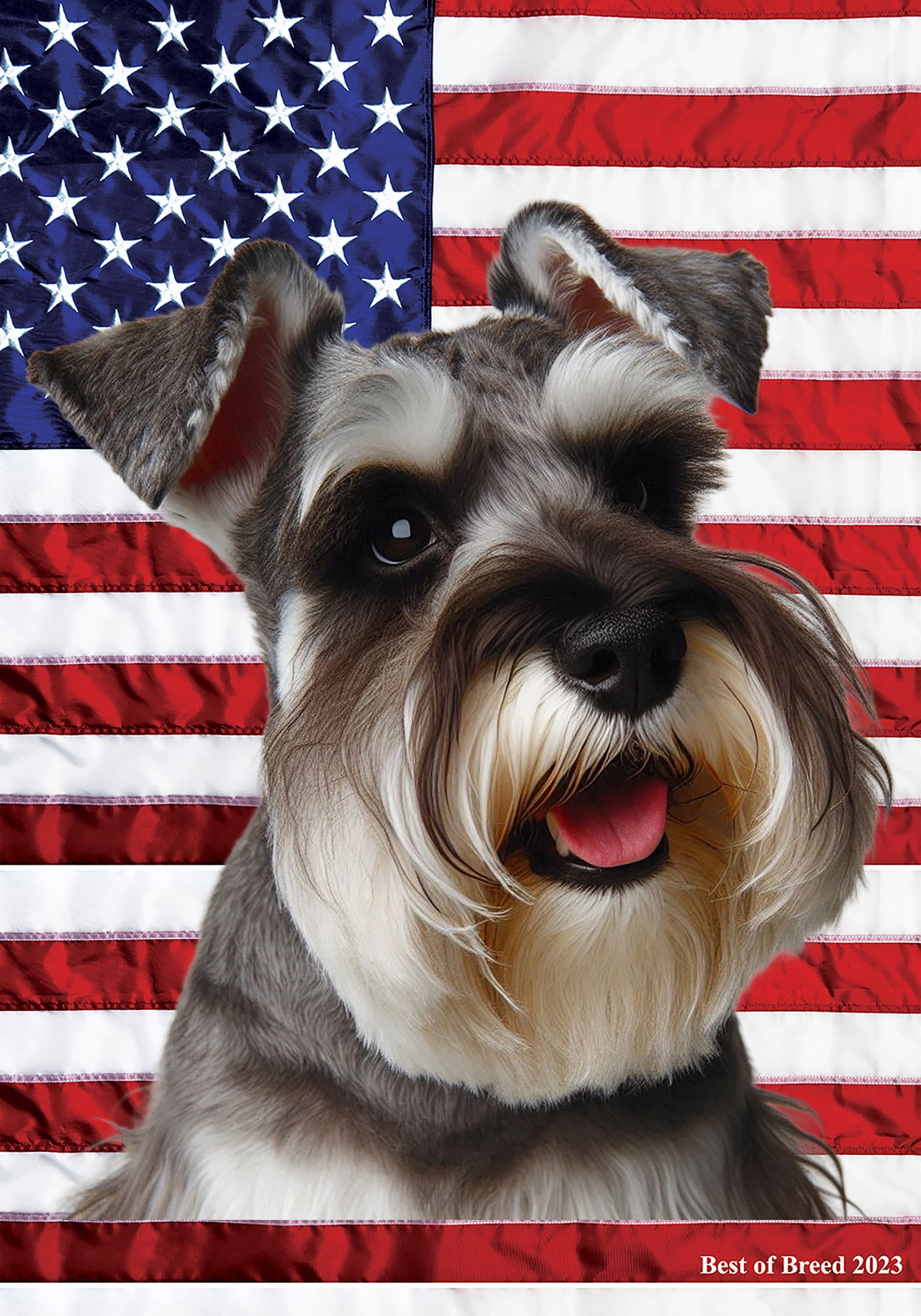Schnauzer Grey Uncropped - Best of Breed All-American Patriotic III ...