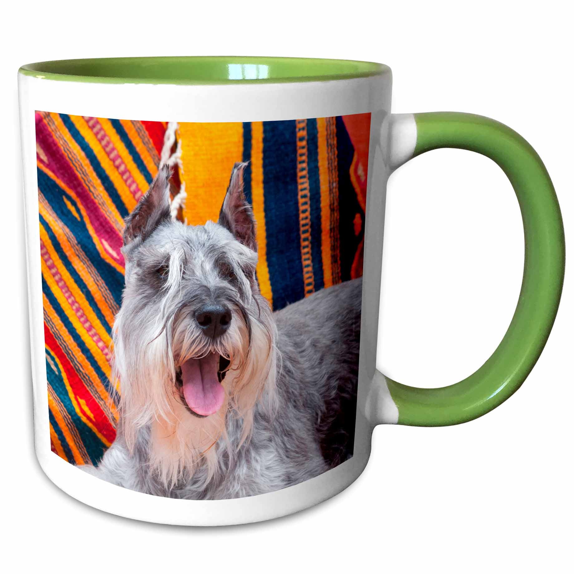 Schnauzer lying on blanket, MR and PR, 11oz Two-Tone Green Mug mug ...