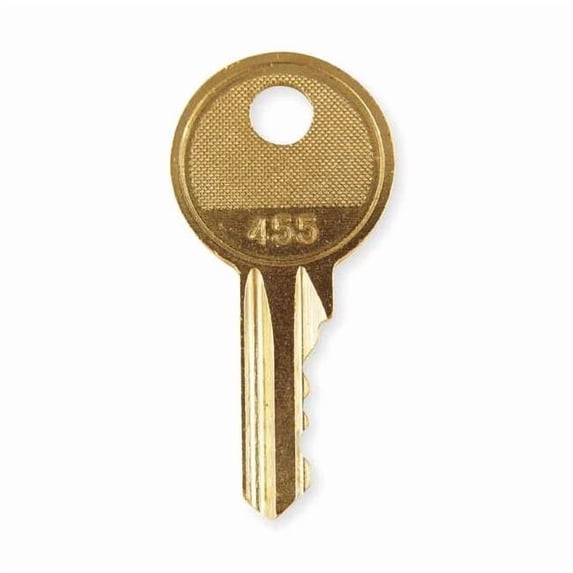 Schneider Electric Replacement Key, 455 Key Code Q99900901 - Walmart.com