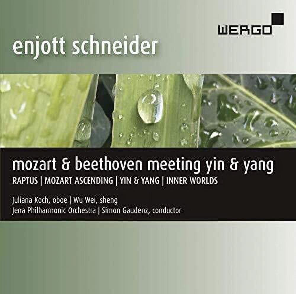 Schneider / Koch / Gaudenz - Meeting Yin & Yang - Music & Performance ...