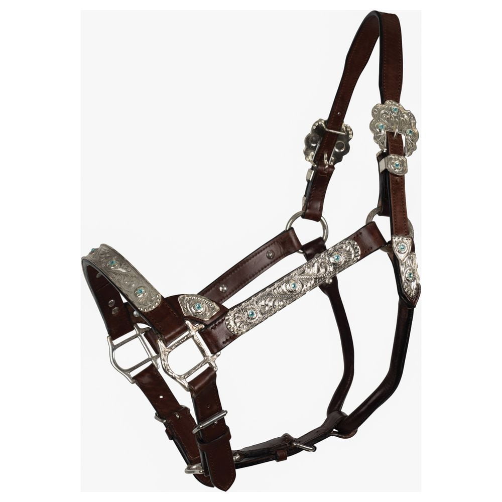 Schneiders Double S Dixie Horse Show Halter with Lead | Full Size ...