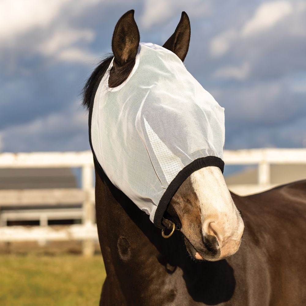 Schneiders Dura-Mesh Original Fly Horse Mask Without Ears | White ...