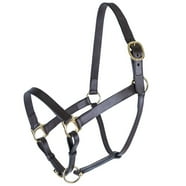 Weaver Leather Livestock Dairy/Beef Rounded Show Halter Brown ,Small ...