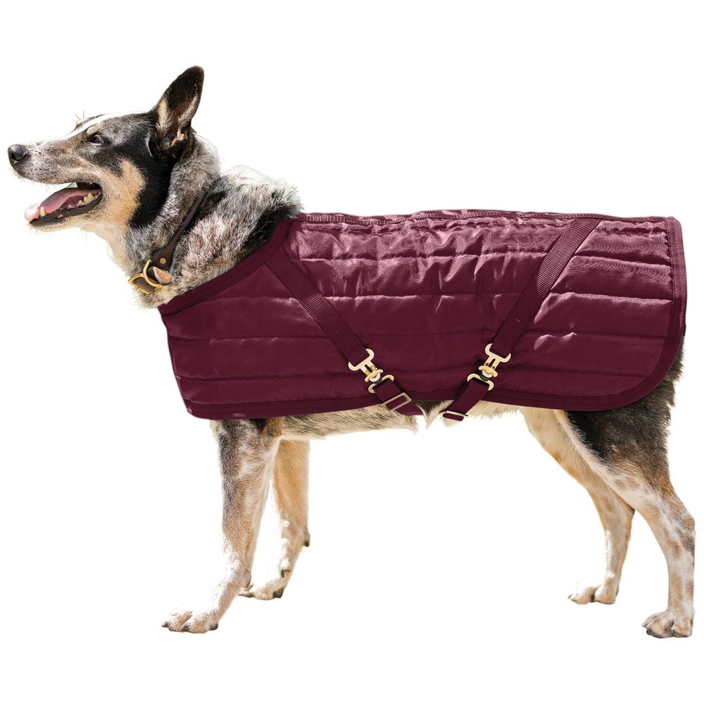 Schneiders Quilted Lightweight Dog Coat | Closed Front | Burgundy ...