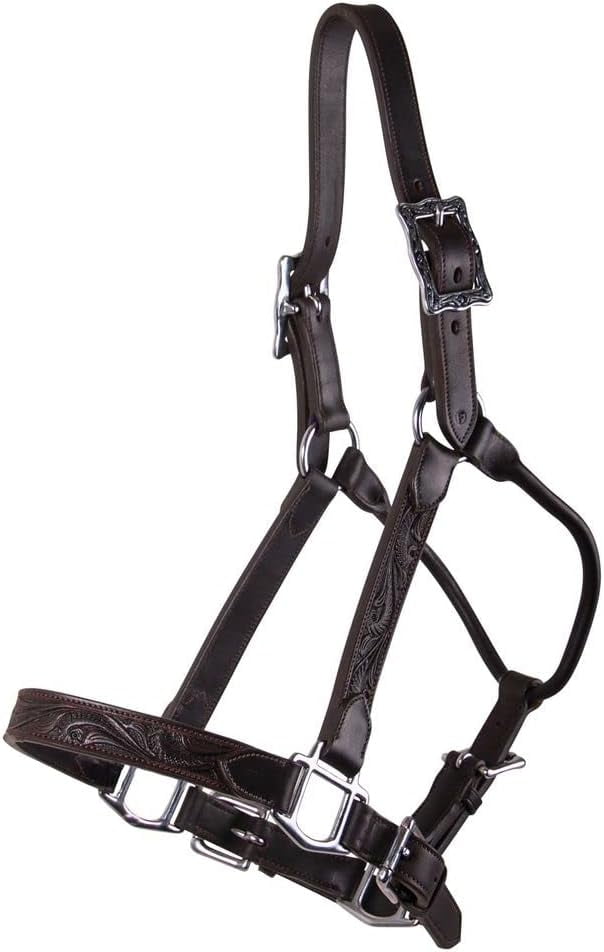 Schneiders Tooled Leather Ranch Show Halter | Stable-Ready | Authentic ...