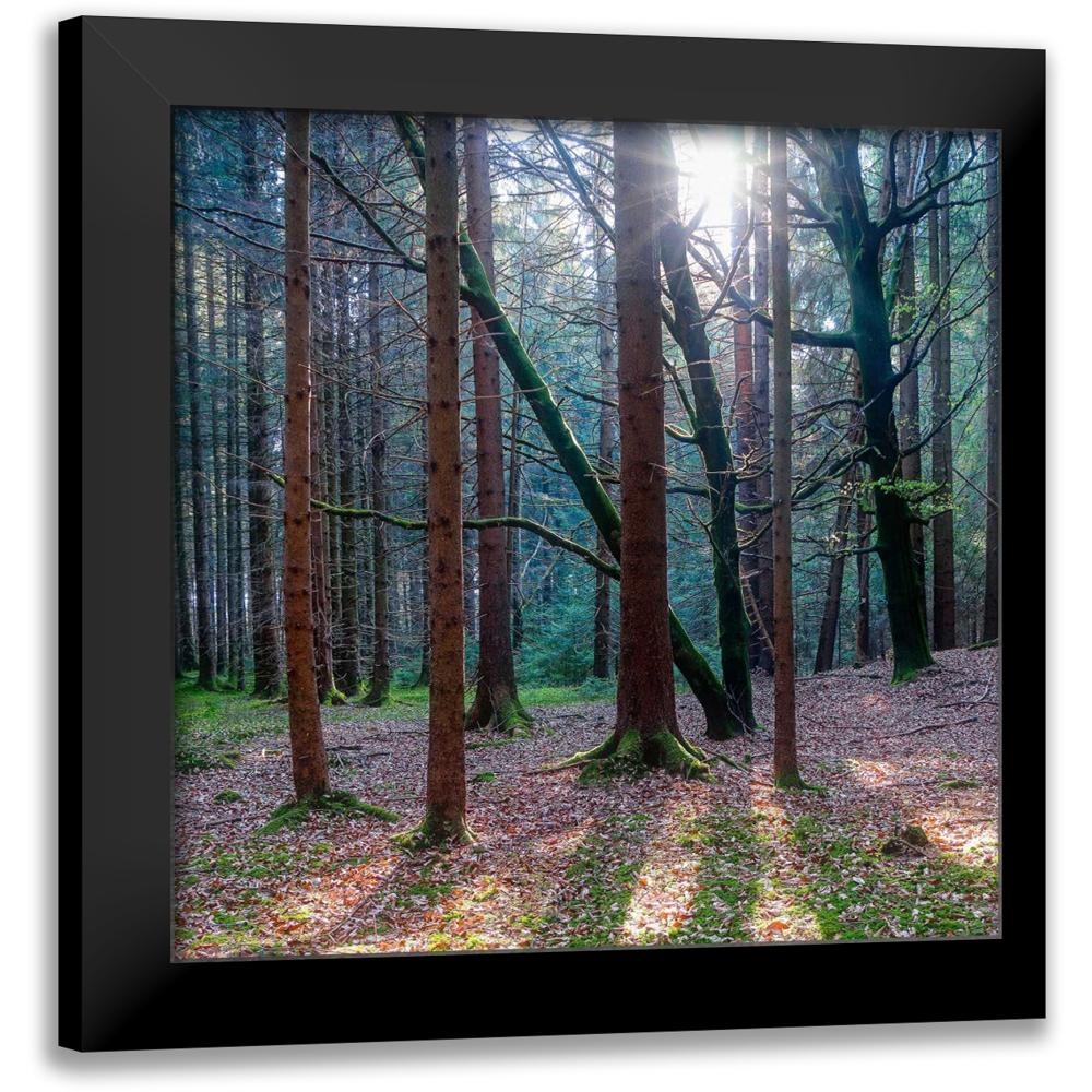 Schneidersmann, Anne 20x20 Black Modern Framed Museum Art Print Titled ...