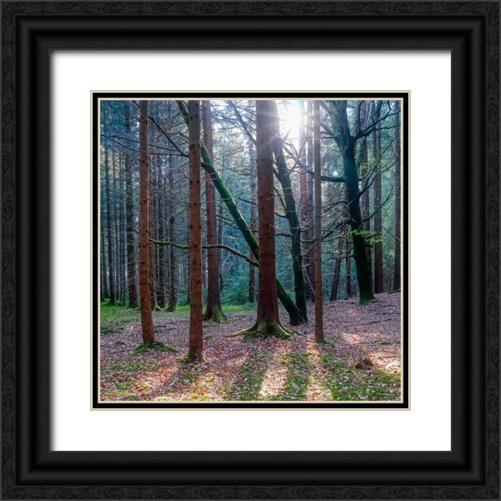 Schneidersmann, Anne 20x20 Black Ornate Wood Framed with Double Matting ...