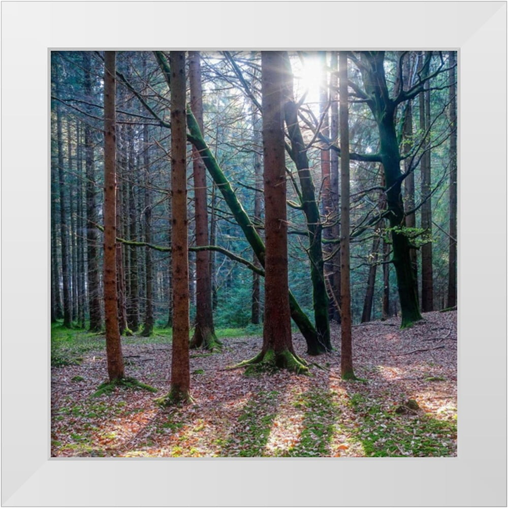 Schneidersmann, Anne 26x26 White Modern Wood Framed Museum Art Print ...