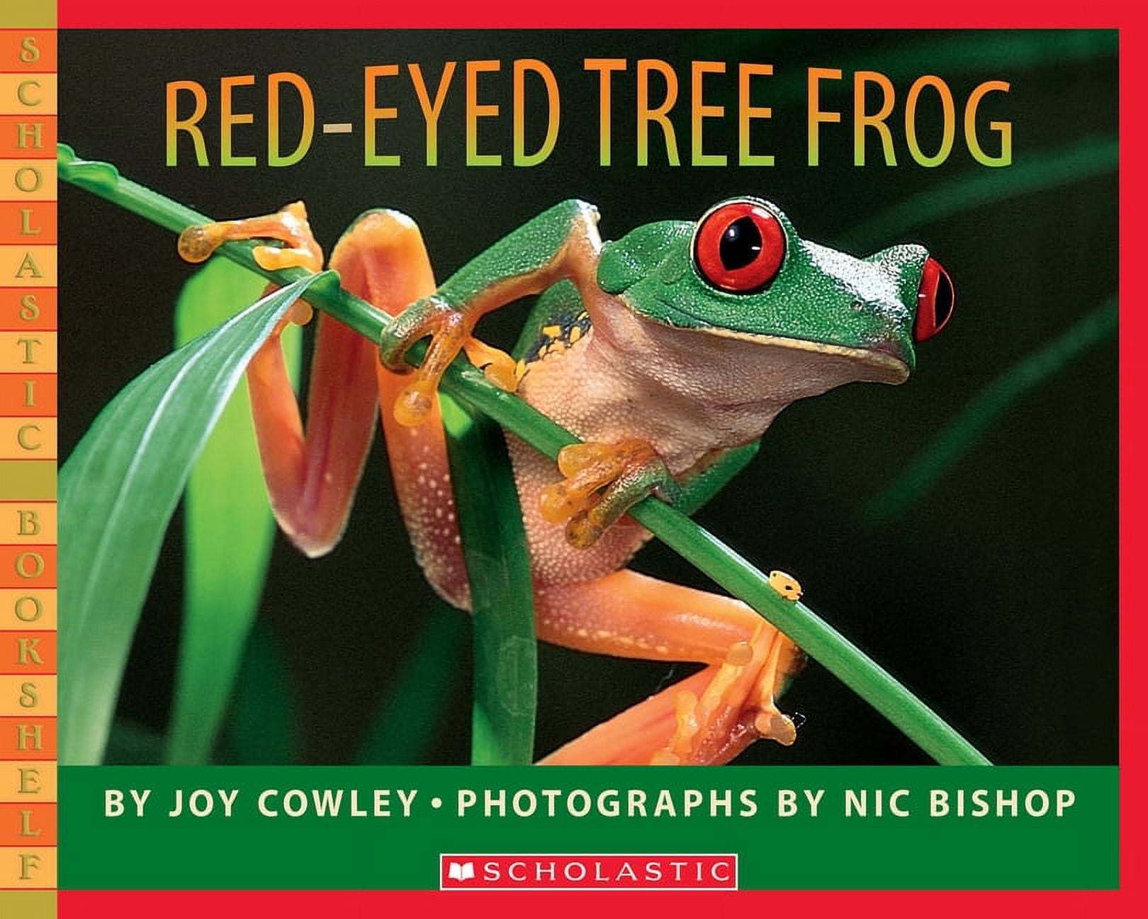 Scholastic Bookshelf Red-Eyed Tree Frog, (Paperback) - Walmart.com