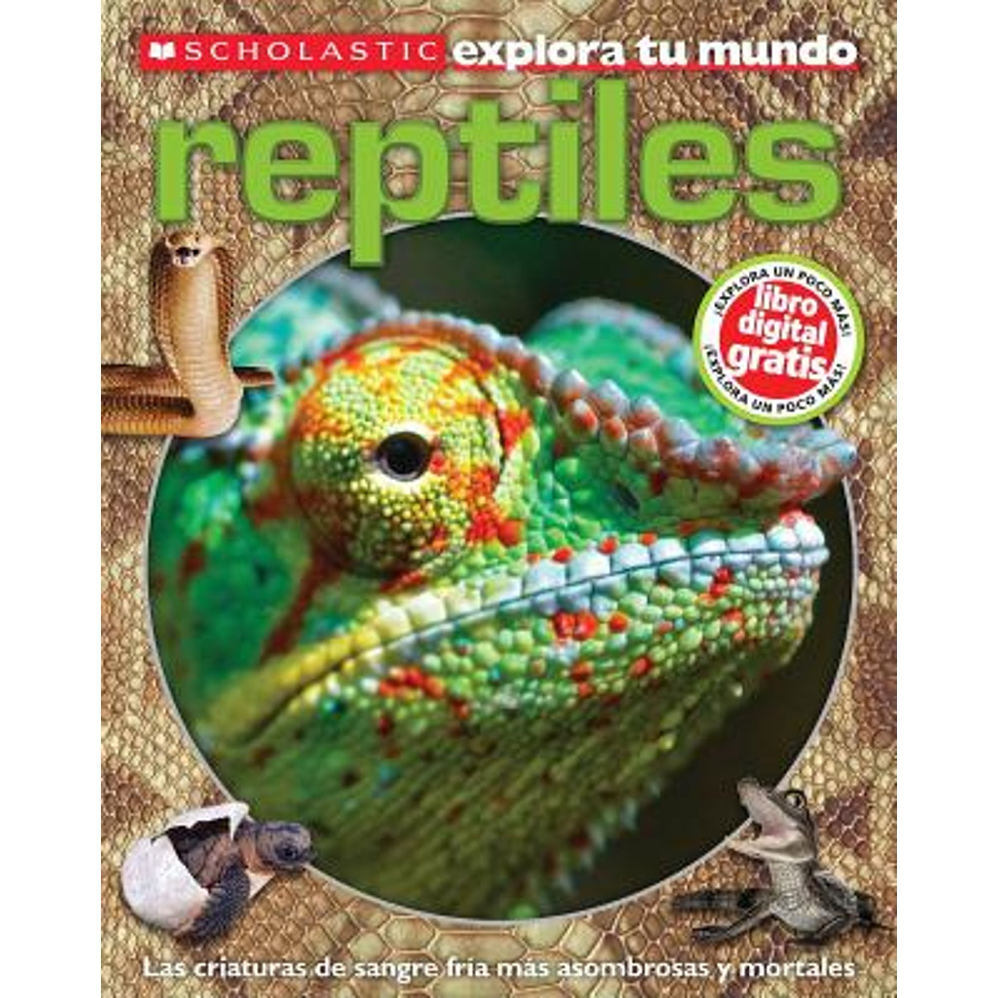 Scholastic Explora Tu Mundo: Los Reptiles: (spanish Language Edition of ...