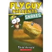 Fly Guy Presents: Dinosaurs (Paperback) - Walmart.com