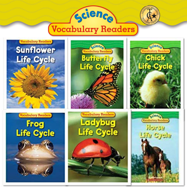Scholastic Science Vocabulary Readers : Life Cycles : Butterfly Life ...