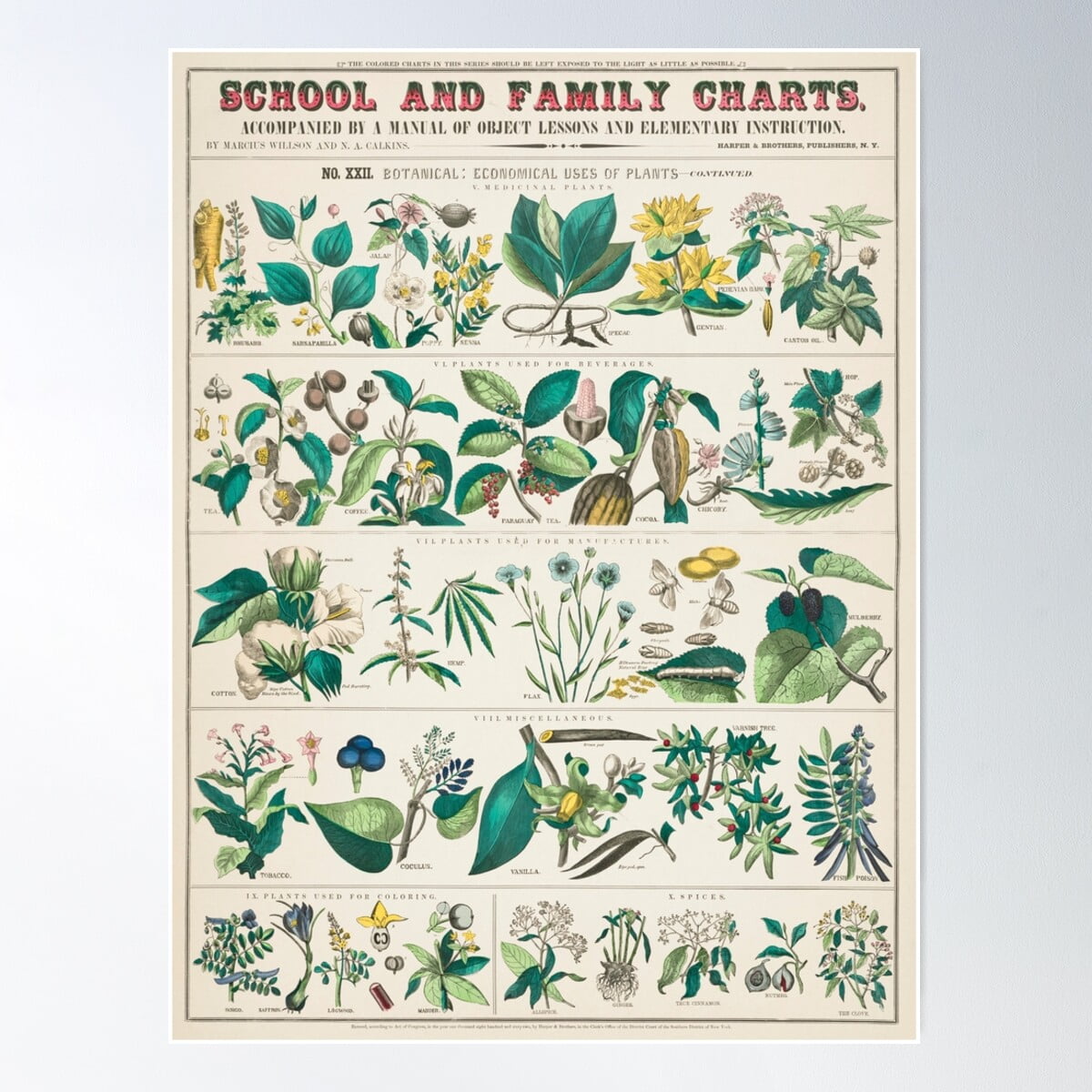 School And Family Charts, No. Xxi. Botanical: Economical Uses Of Plants ...