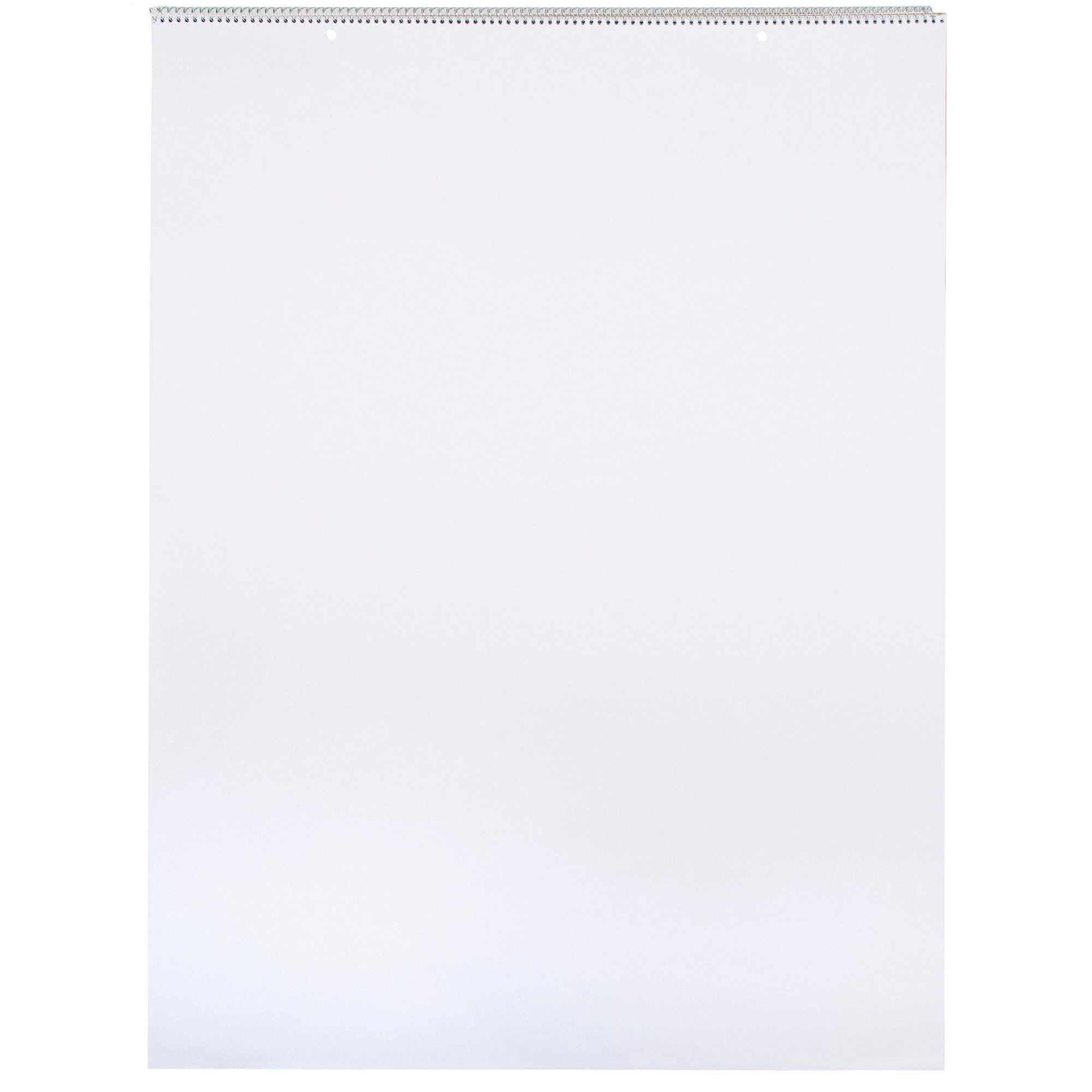 School Smart Chart Paper Pad, 32 x 24 Inches, Unruled, 25 Sheets ...