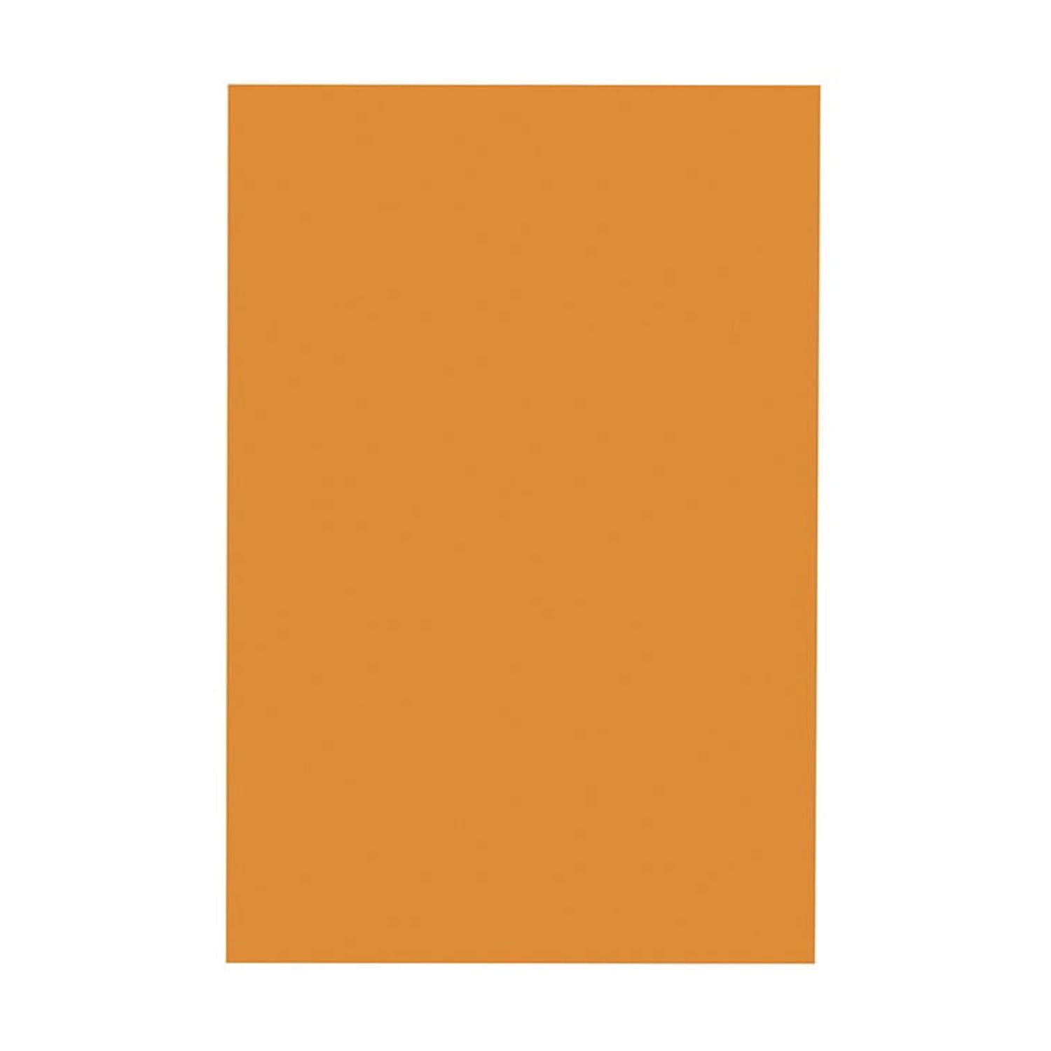 School Smart Folding Bristol Tagboard, 12 x 18 Inches, Orange, Pack of ...