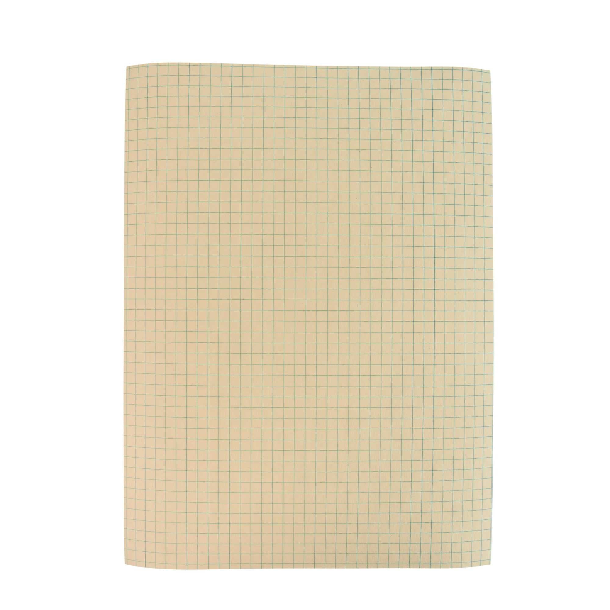 School Smart Graph Paper, 1/4 Inch Rule, 9 x 12 Inches, Manila, 500 ...