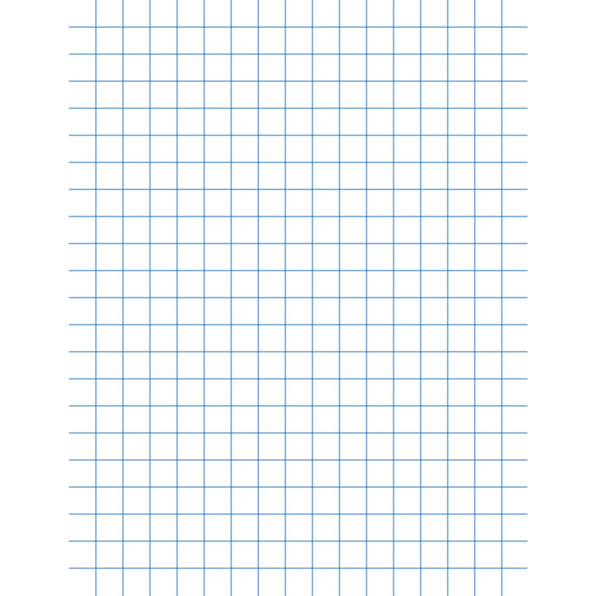 Blank Graph Paper 8 12 X 11