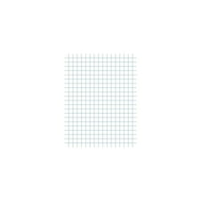 Large Square Graph Paper