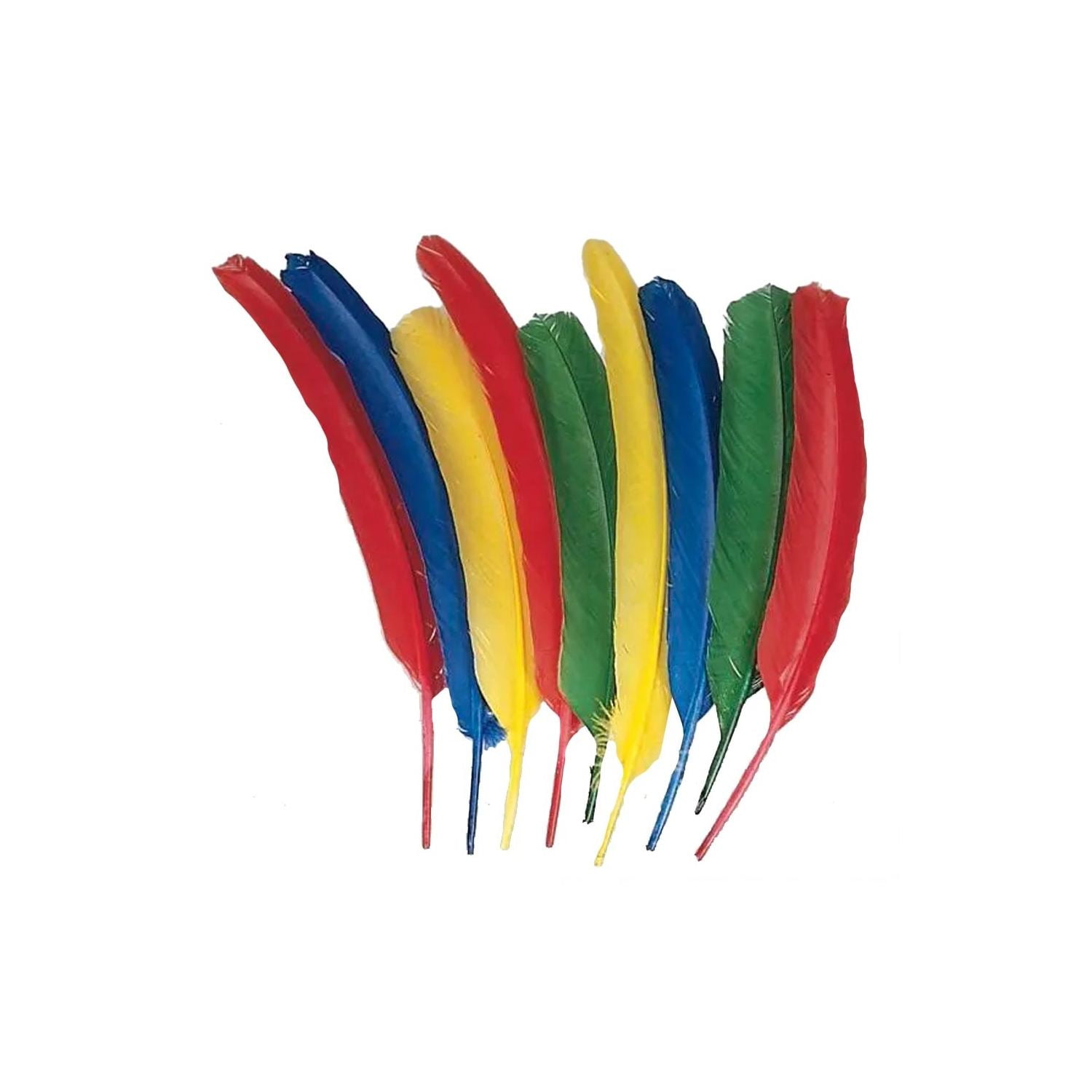 Long Craft Feather Quills, 10 to 12 Inches, Assorted Colors, Pack of ...