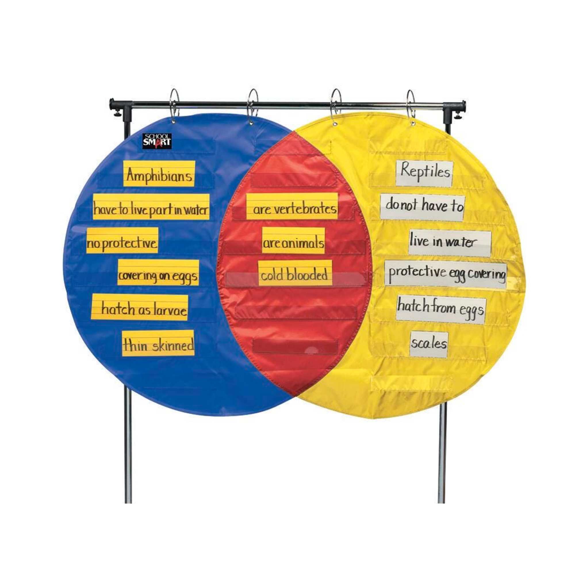 School Smart Venn Diagram Pocket Chart with 3 Circles, 23 Pockets, 35-1 ...