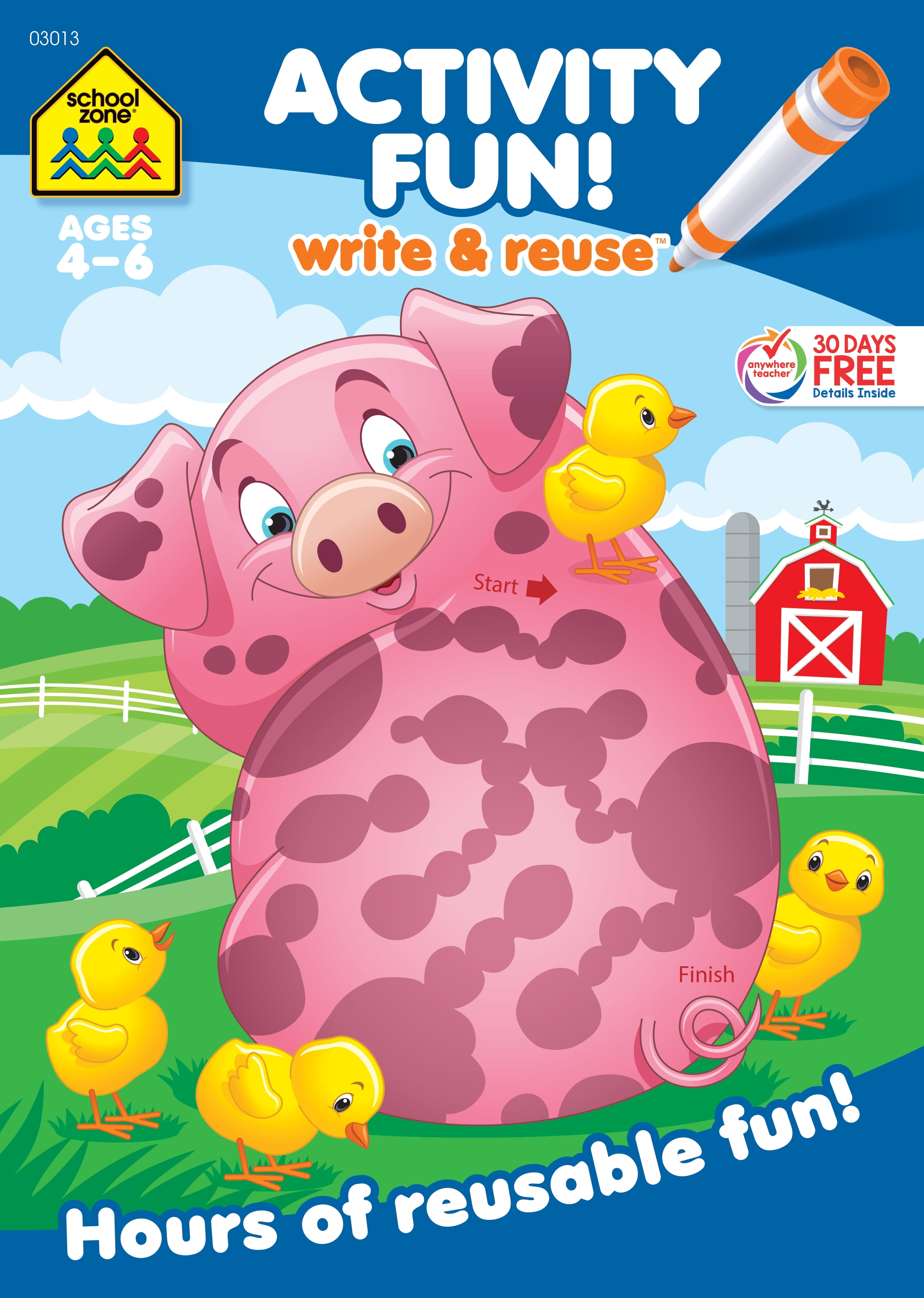 School Zone Activity Fun! Write & Reuse Workbook - Walmart.com