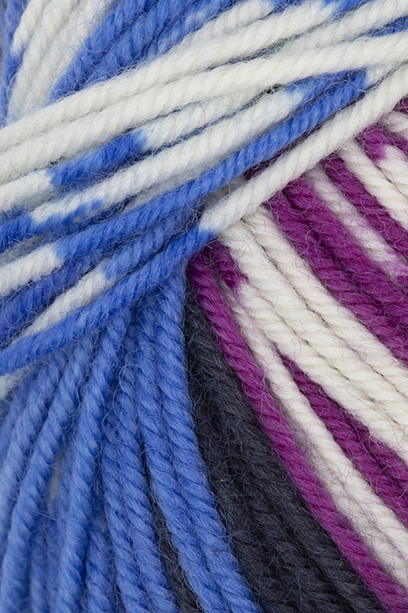 Schoppel Wolle - Ambiente/Life Style Knitting Yarn - Nightshade (# 2506 ...