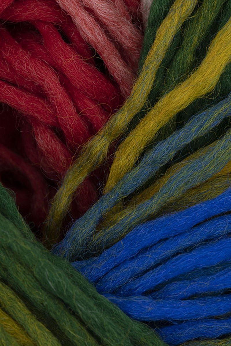 Schoppel Wolle - Reggae Ombre Knitting Yarn - Parrot (# 1701) - Walmart.com