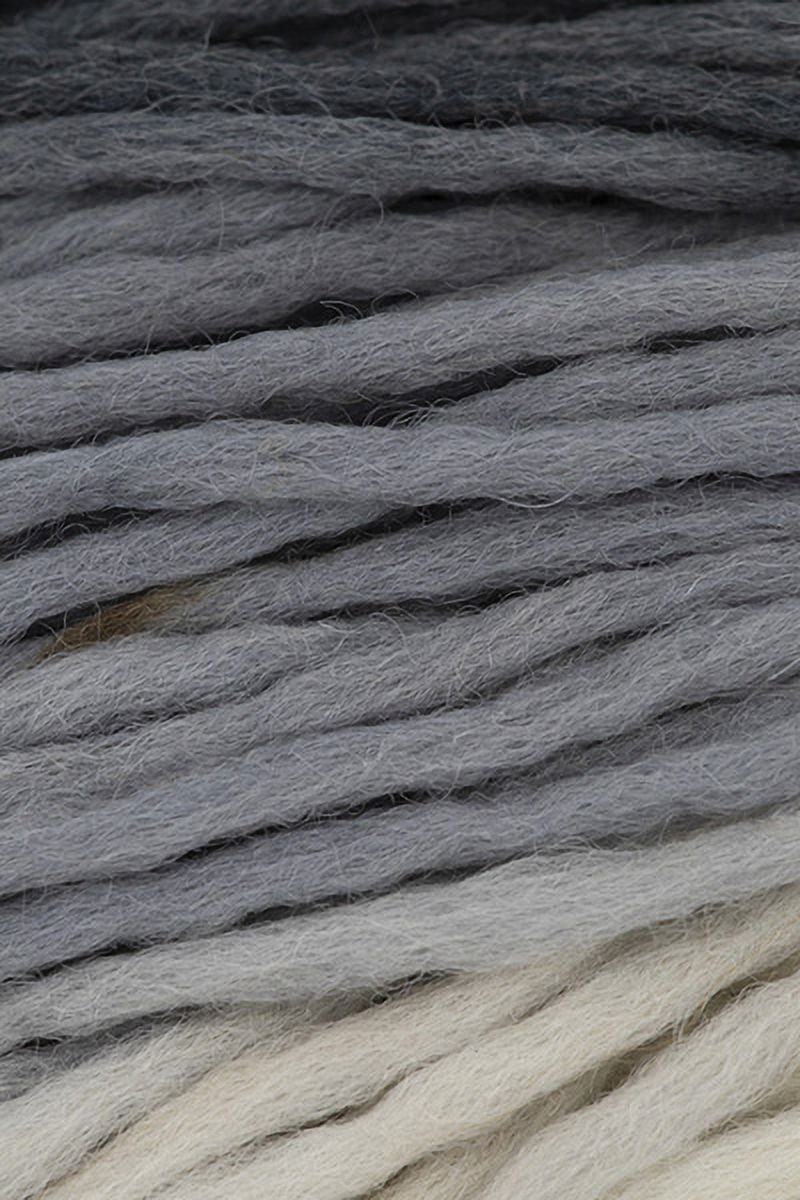 Schoppel Wolle - Reggae Ombre Knitting Yarn - Shadow (# 1508) - Walmart.com