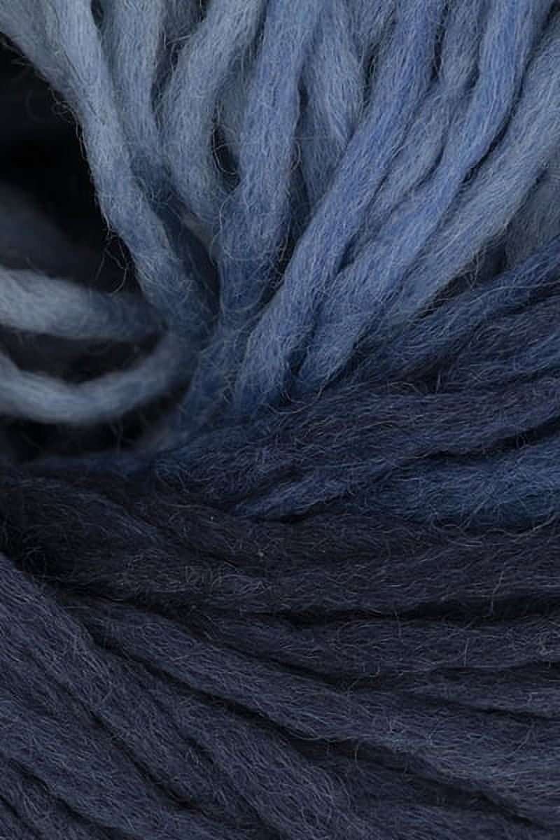 Schoppel Wolle - Reggae Ombre Knitting Yarn - Stone Washed (# 1535 ...