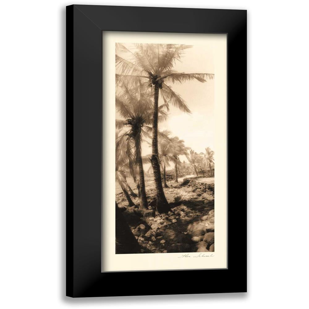 Schrack, Thea 9x14 Black Modern Framed Museum Art Print Titled ...