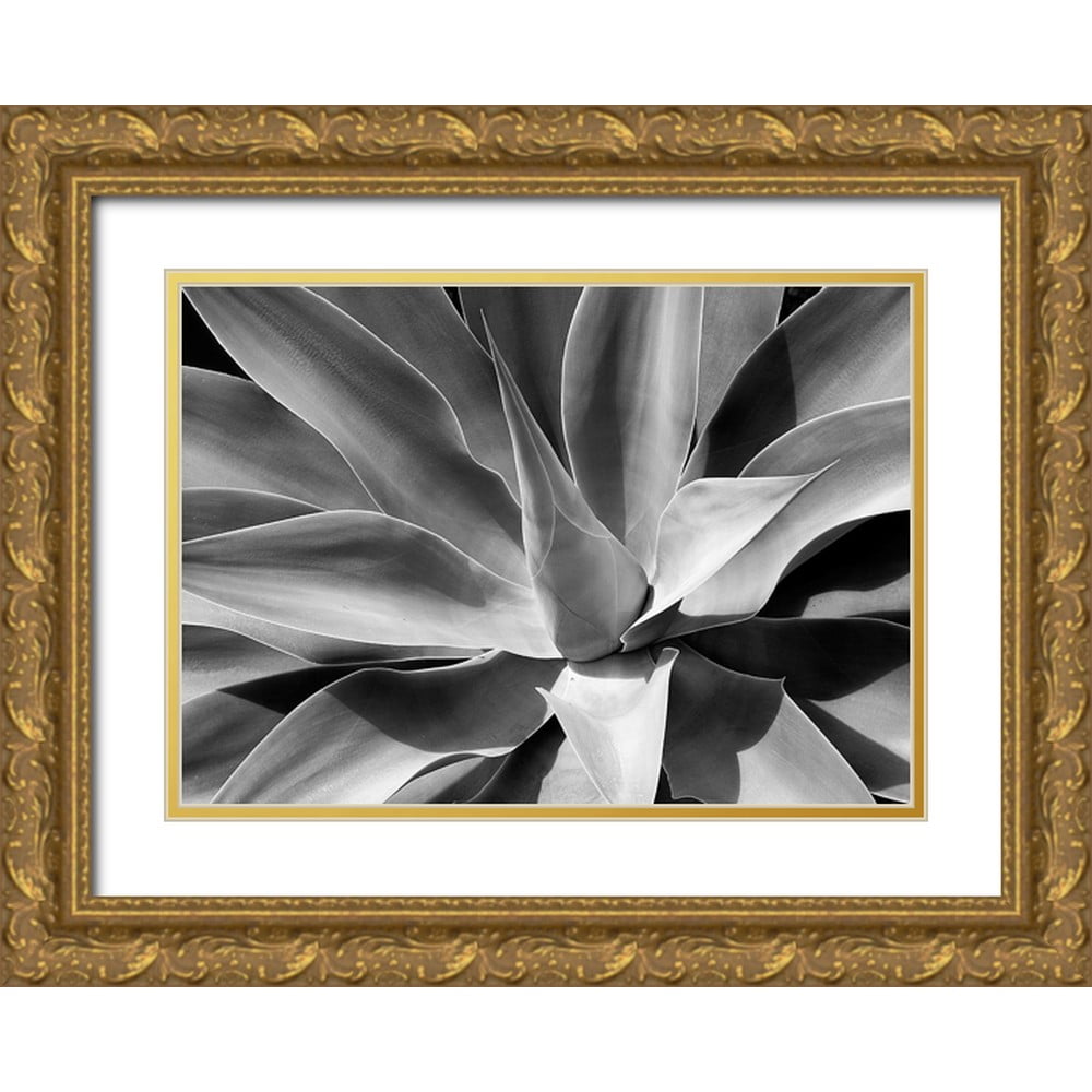 Schull, Harald 24x18 Gold Ornate Wood Framed with Double Matting Museum Art Print Titled - The ...