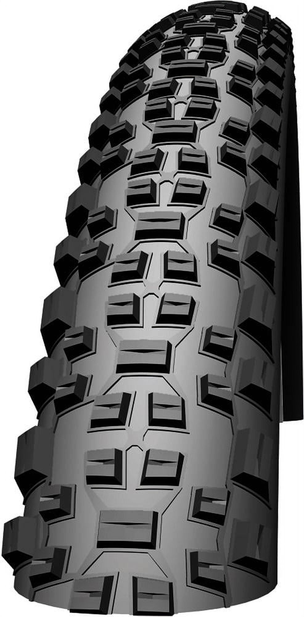 Schwalbe Racing Ralph Tubeless Easy SnakeSkin Tire, 29x2.25 EVO Folding ...