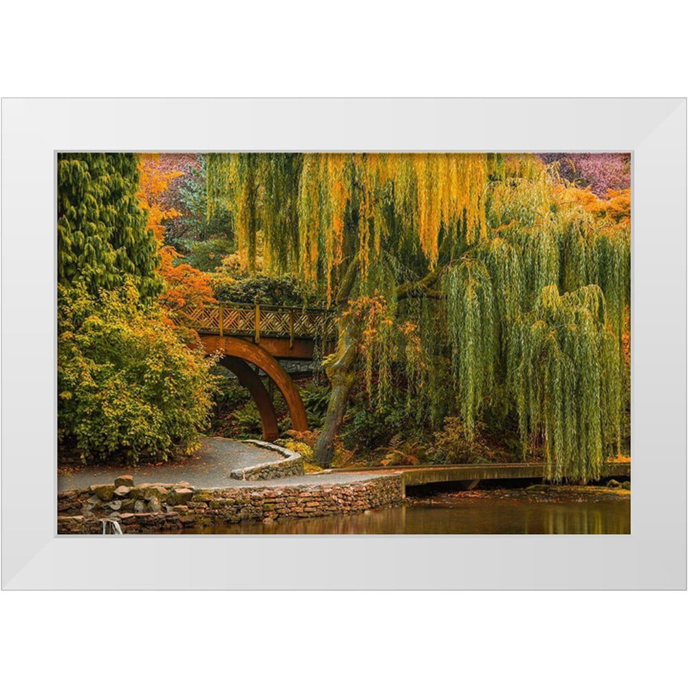 Schwartz, Don 32x23 White Modern Wood Framed Museum Art Print Titled ...