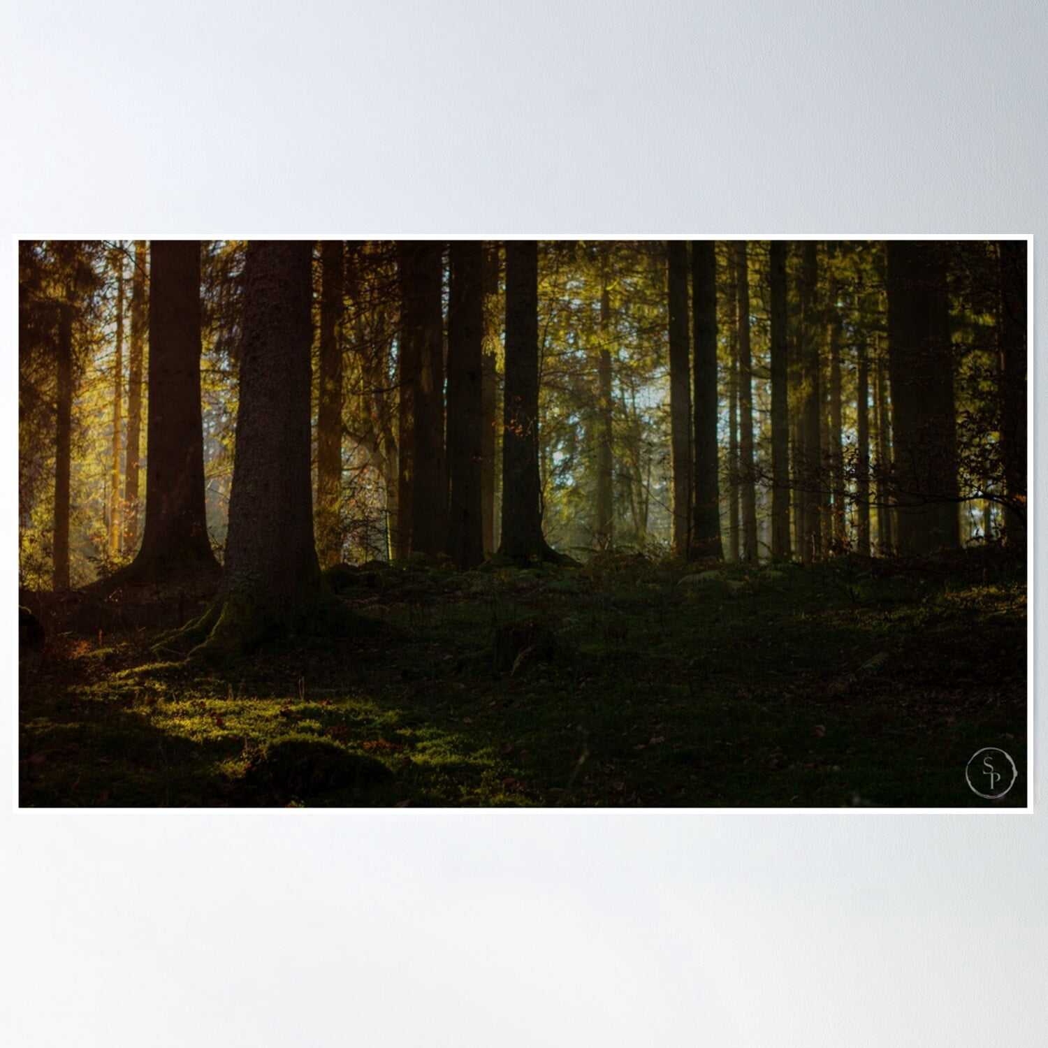 Schwarzwald Forests 3 Poster Wall Art, Modern Wall Decor, 16x24 ...